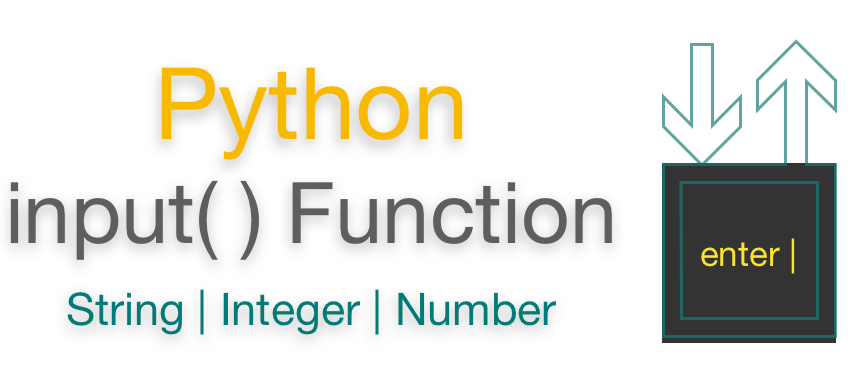 Python Input Function Input String Input Integer Number Eyehunts