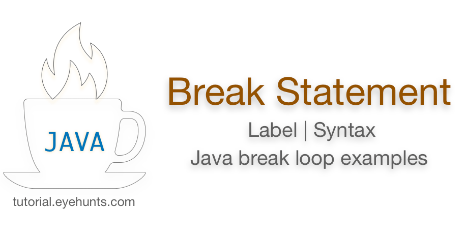 Java Break Statement Label Java Break For Loop Example Eyehunts