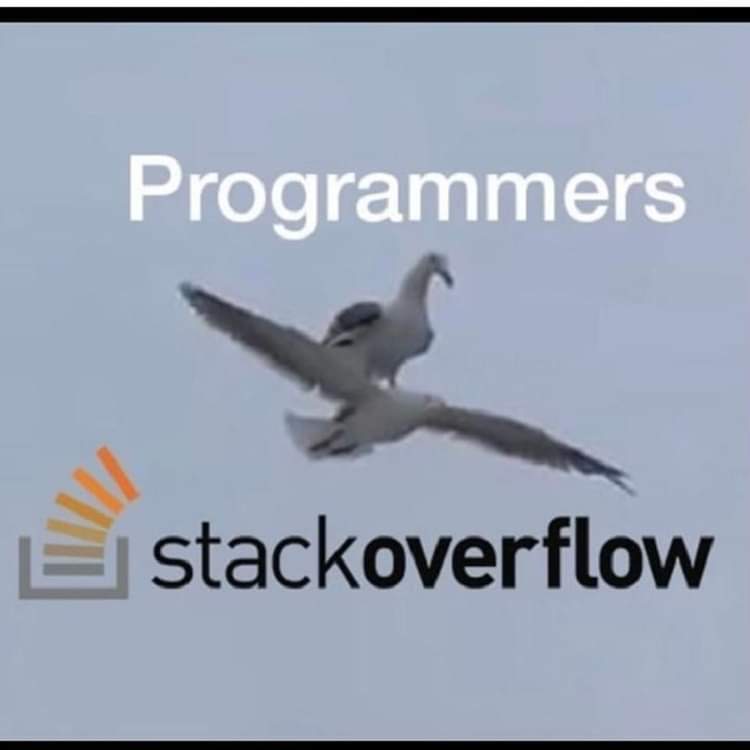 Monday Memes | Coder memes | Humor + Jokes