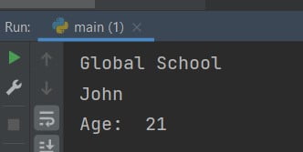 Access Modifiers In Python Basics
