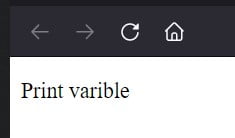 Javascript Print Variable Example Code