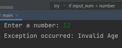 Python Custom Exception